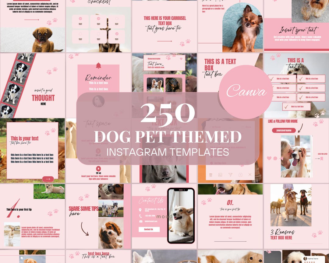 Pet Instagram Templates Pink Dog Social Media Dog Salon Instagram Dog ...
