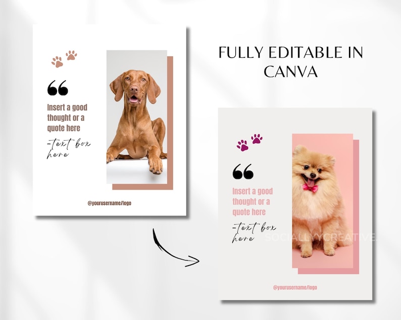 Dog Instagram Templates Brown Pet Social Media Dog Salon Instagram Dog ...
