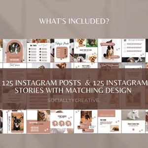 Pet Instagram Templates Brown Dog Social Media Dog Salon Instagram Dog ...