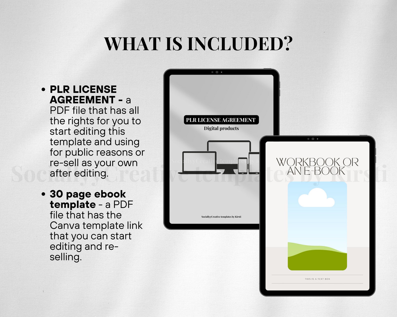 PLR E-book Template PLR Workbook Template E-book Template for ...