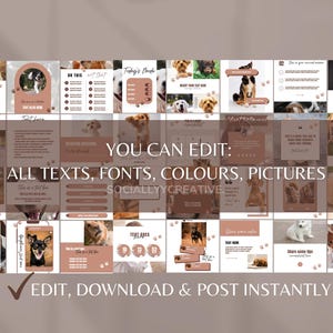 Pet Instagram Templates Brown Dog Social Media Dog Salon Instagram Dog ...