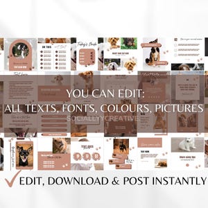 Dog Instagram Templates Brown Pet Social Media Dog Salon Instagram Dog ...