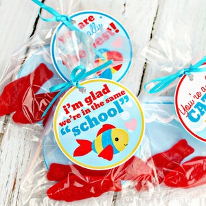 Printable Fish Valentine Tags, Printable Valentine Tags, Glad We're in ...