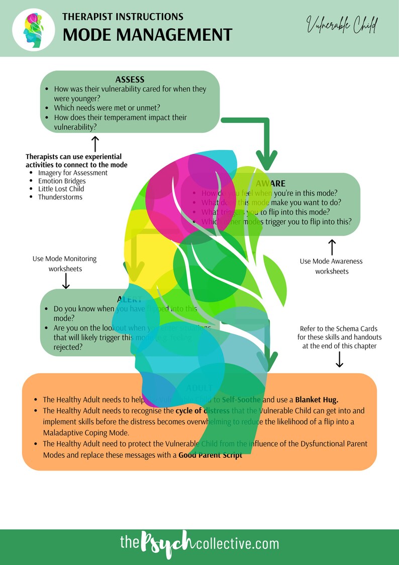 Schema Mode Therapy Treatment Guide - Etsy