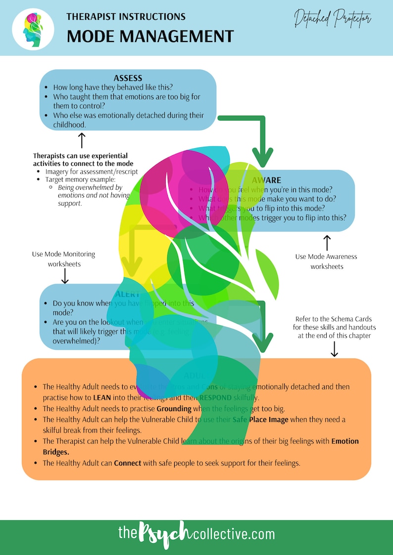 Schema Mode Therapy Treatment Guide - Etsy