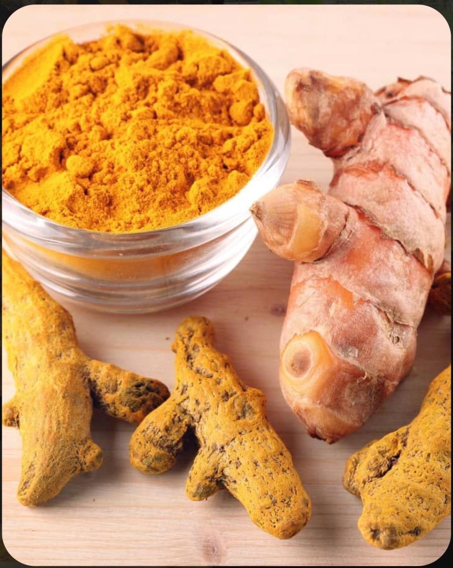 Tumeric Root | Whole | Curcuma Longa | Tumeric Powder - Etsy