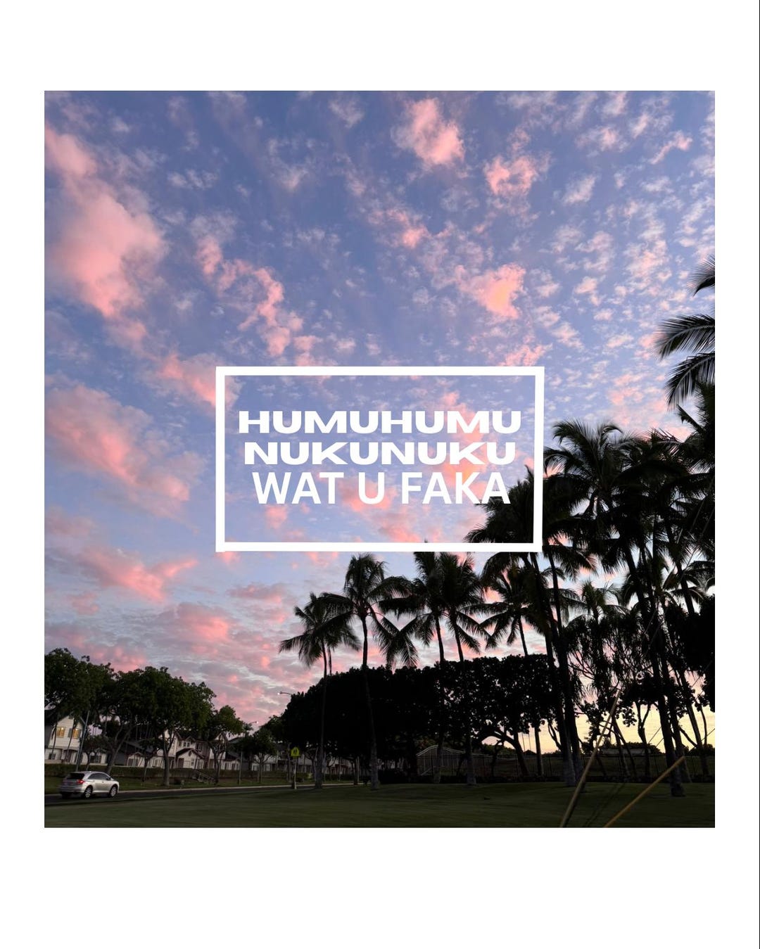 Humuhumu Nukunuku Wat U Faka Funny Hawaii Saying Adult Joke Meme Vinyl ...
