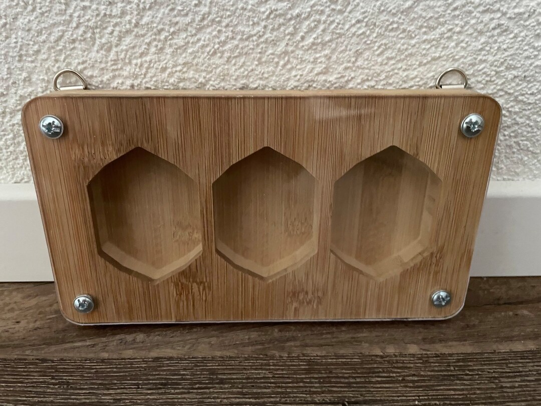 Pokémon Generation Evolution Brick Frame for 3 Bricks With Plexiglass ...