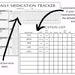 Daily Medication Tracker: Printable Medication Log (editable in Canva ...
