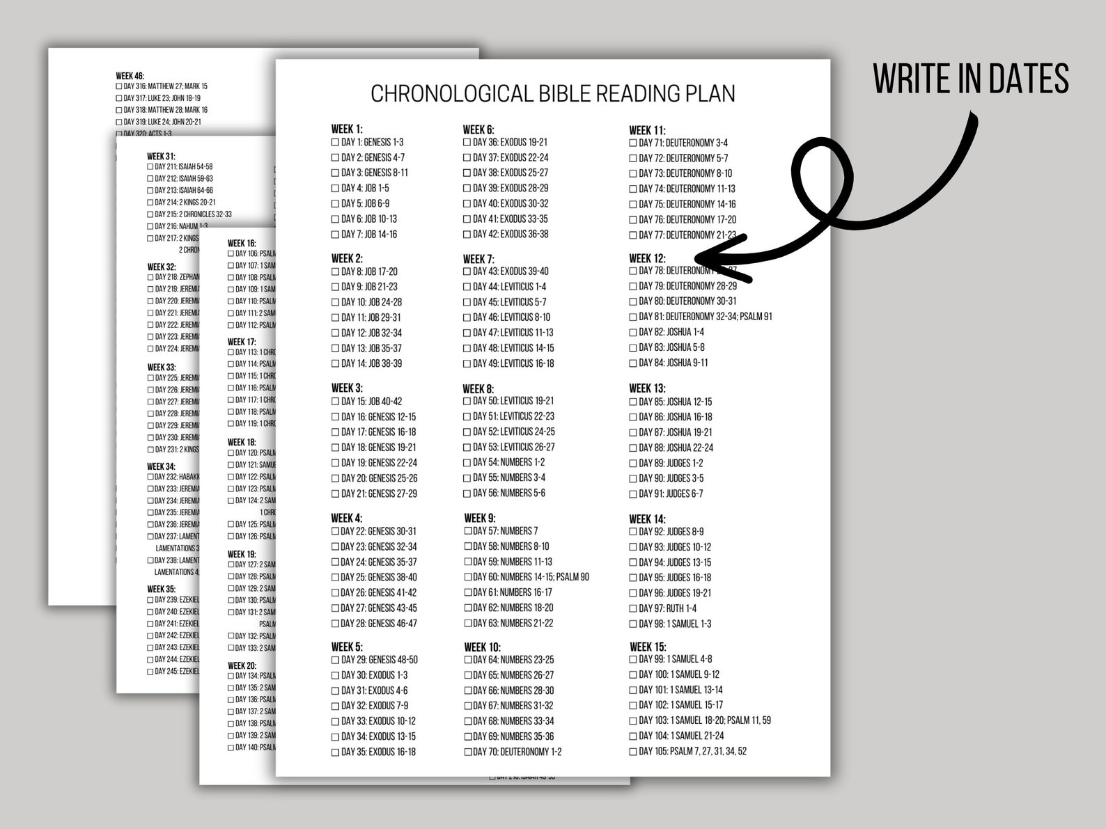 Chronological Bible Reading Plan Printable Bible Reading Tracker chronological-bible-reading-plan-printable-bible-reading-tracker