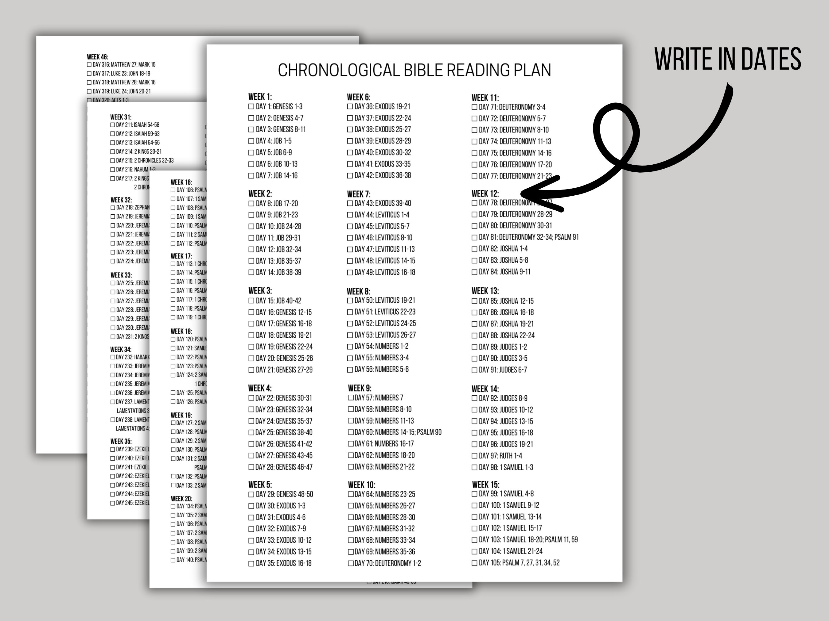 Chronological Bible Reading Plan, Printable Bible Reading Tracker ...