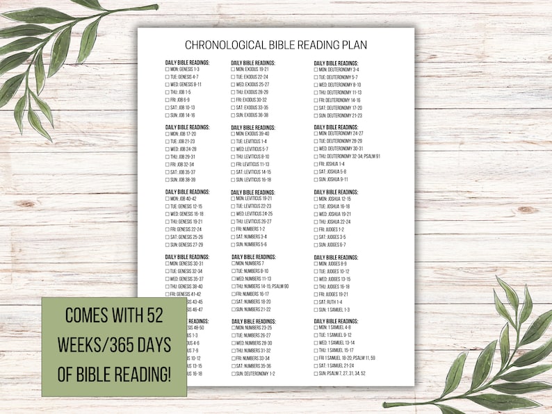 Chronological Bible Reading Plan: 1-year Tracker (digital Download) - Etsy