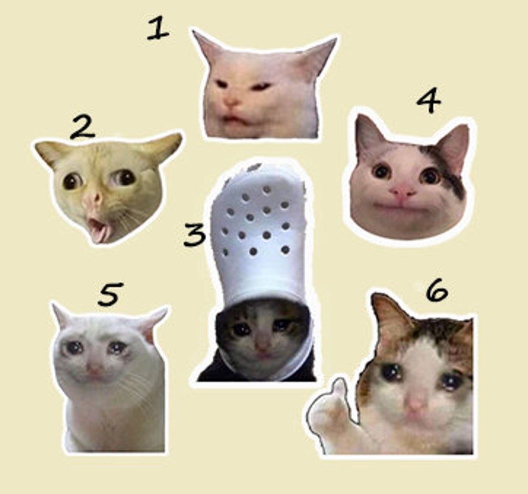 Meme Cat Sticker Crying Cat Thumb up Meme Coughing Cat Meme - Etsy