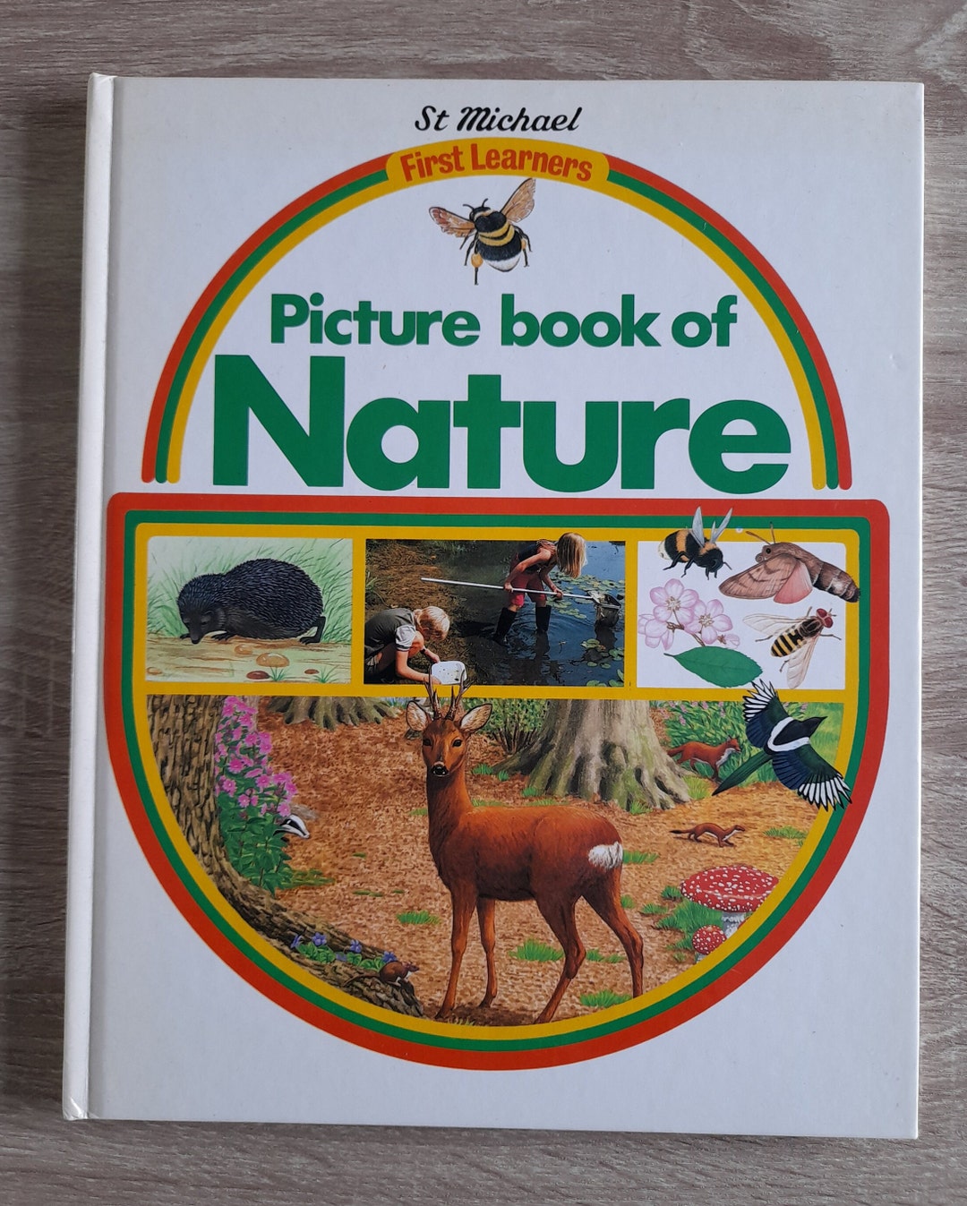 St Michael First Learners Picture Book of Nature Vintage Childrens ...