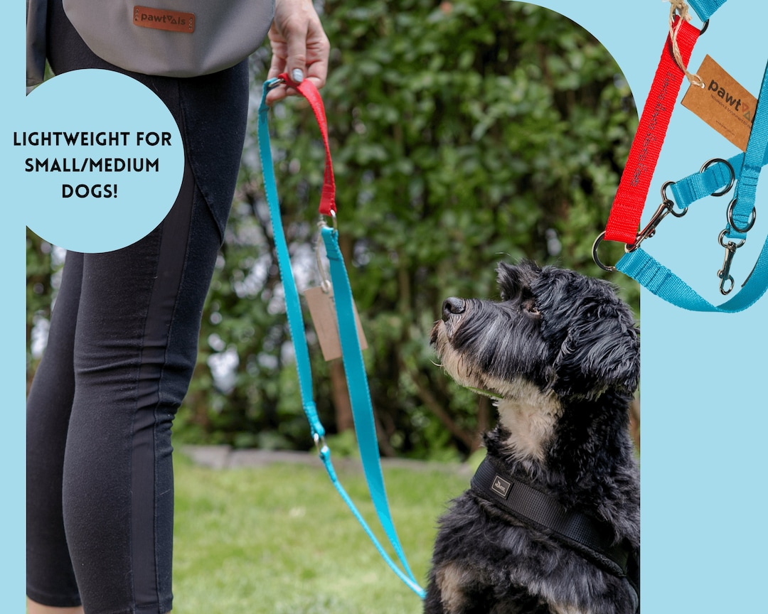 Hands-free Convertible Light Leash for Small Dogs & Puppies - Etsy