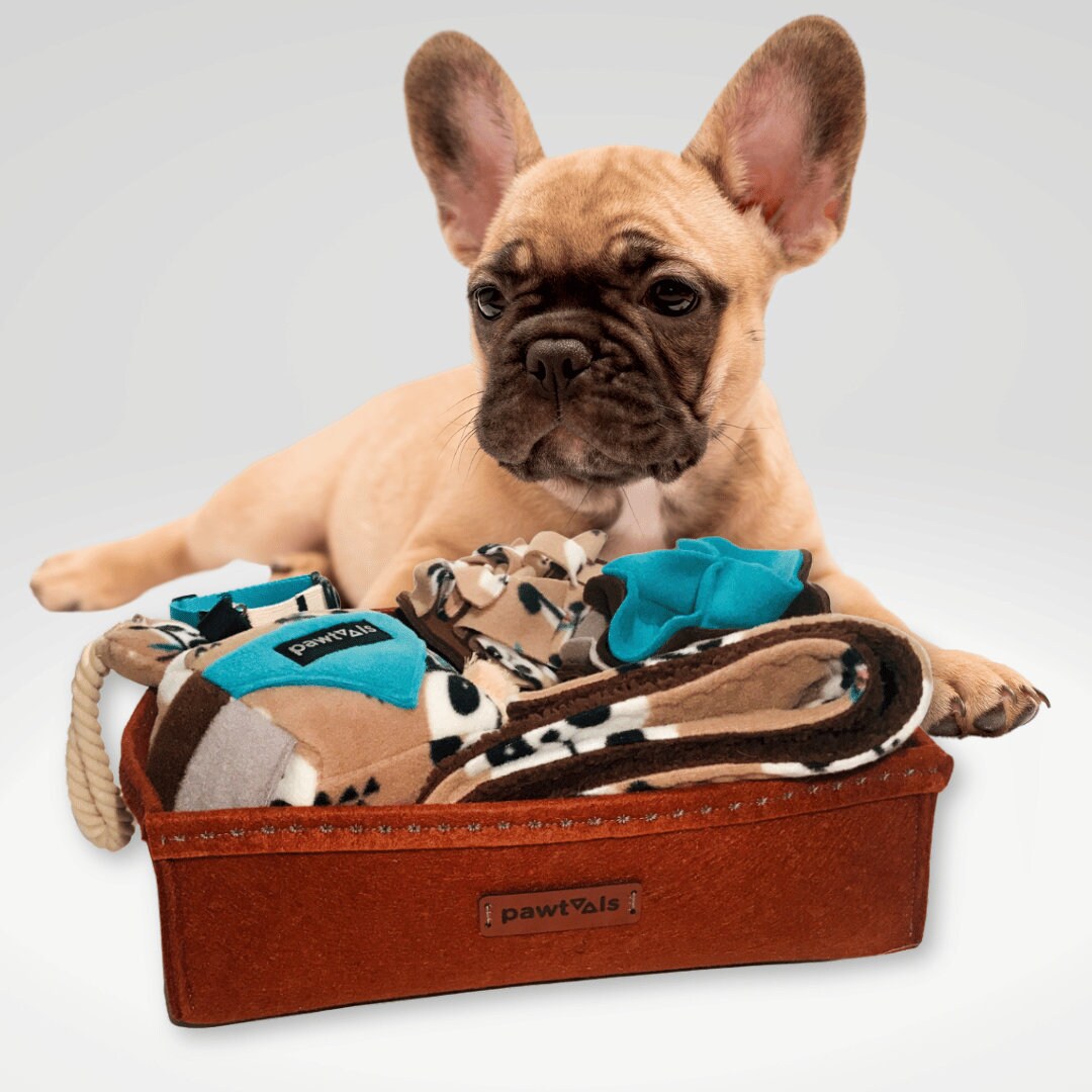 Puppy Dog Gift Snuffle Toy Box, Leash Set and Blanket - Etsy