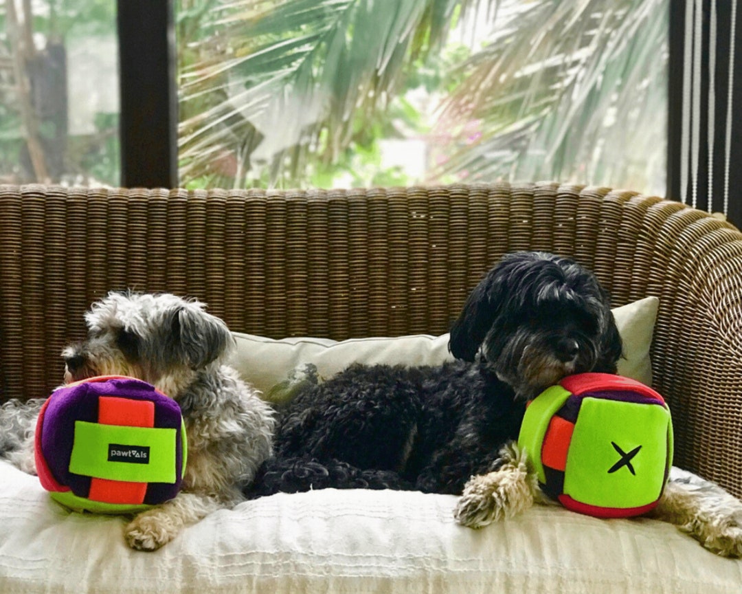 Snuffle Cube Interactive Dog Sniffing Toy for Medium Breeds - Etsy