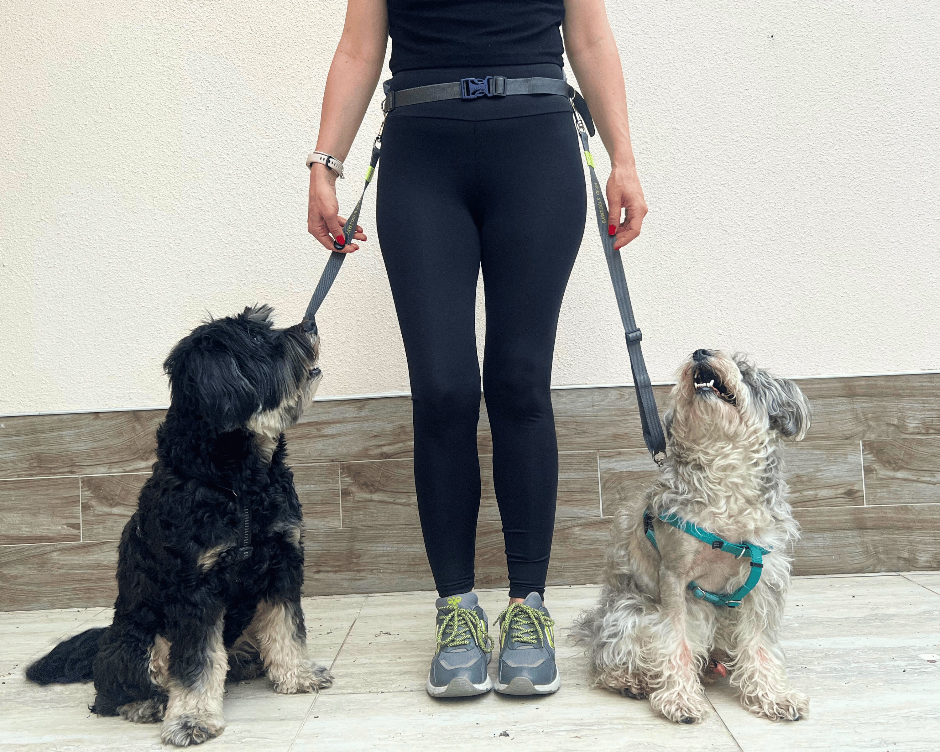 Hands Free Dog Walking Belt - Etsy