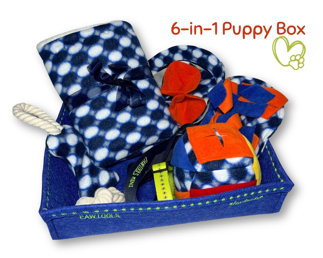 Puppy Dog Gift Snuffle Toy Box, Leash Set and Blanket Blue Edition - Etsy