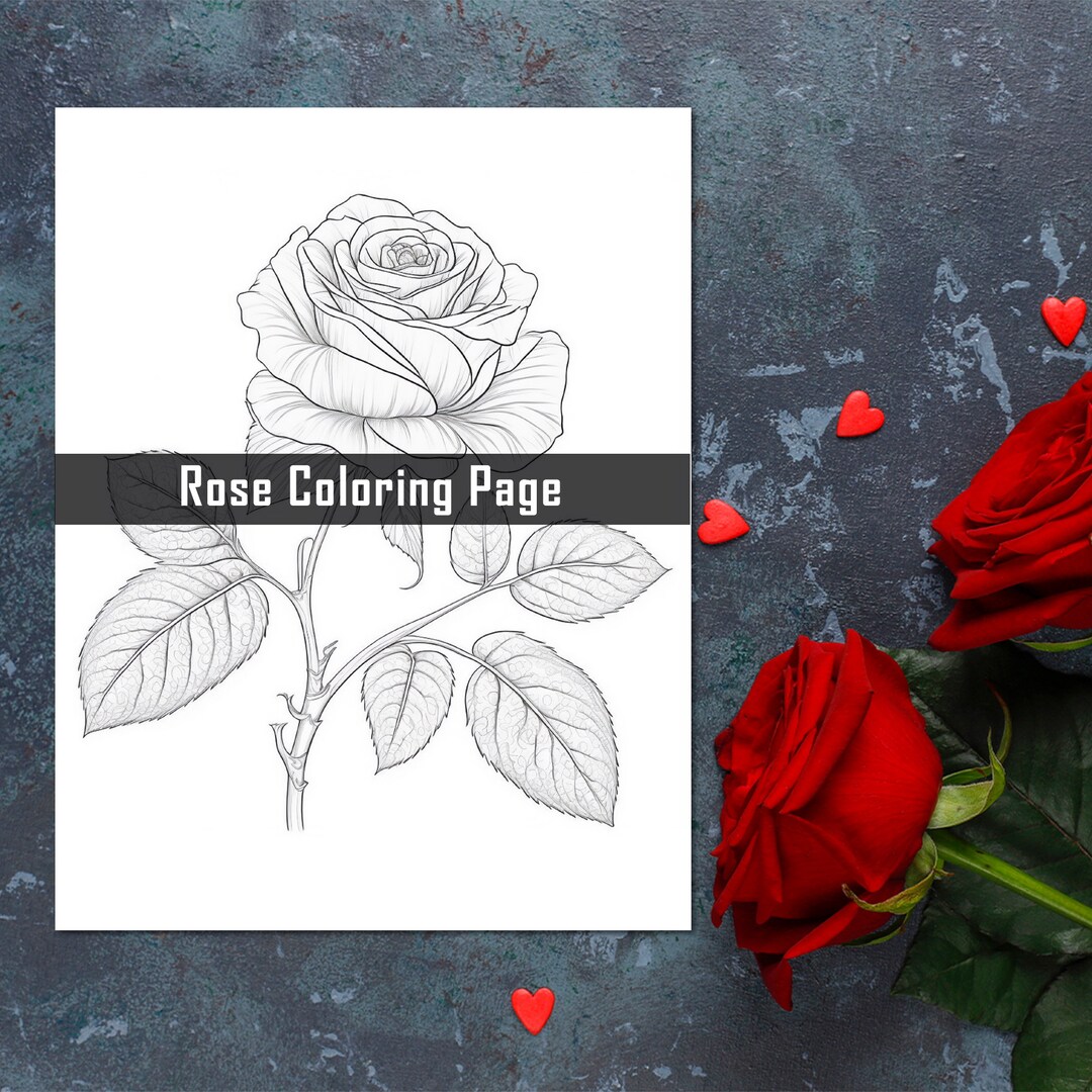 Beautiful Rose Coloring Page - Etsy