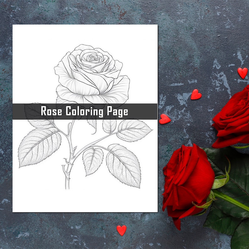 Beautiful Rose Coloring Page - Etsy