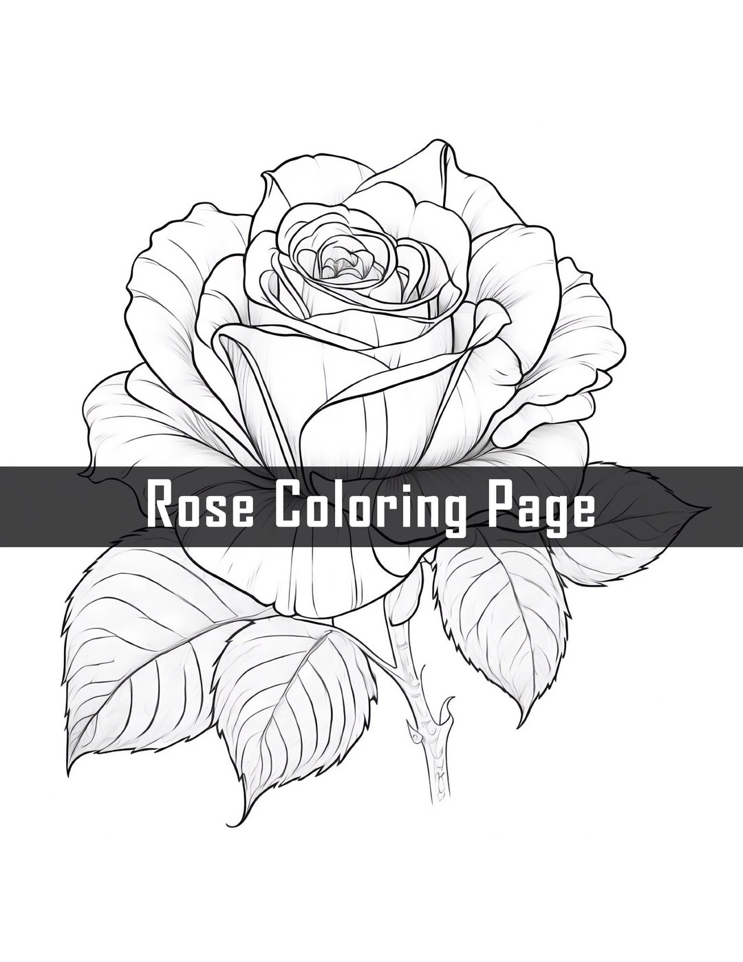 Beautiful Single Rose Coloring Page - Etsy