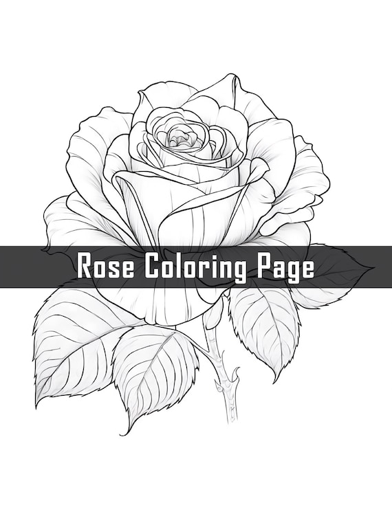 Beautiful Rose Coloring Pages