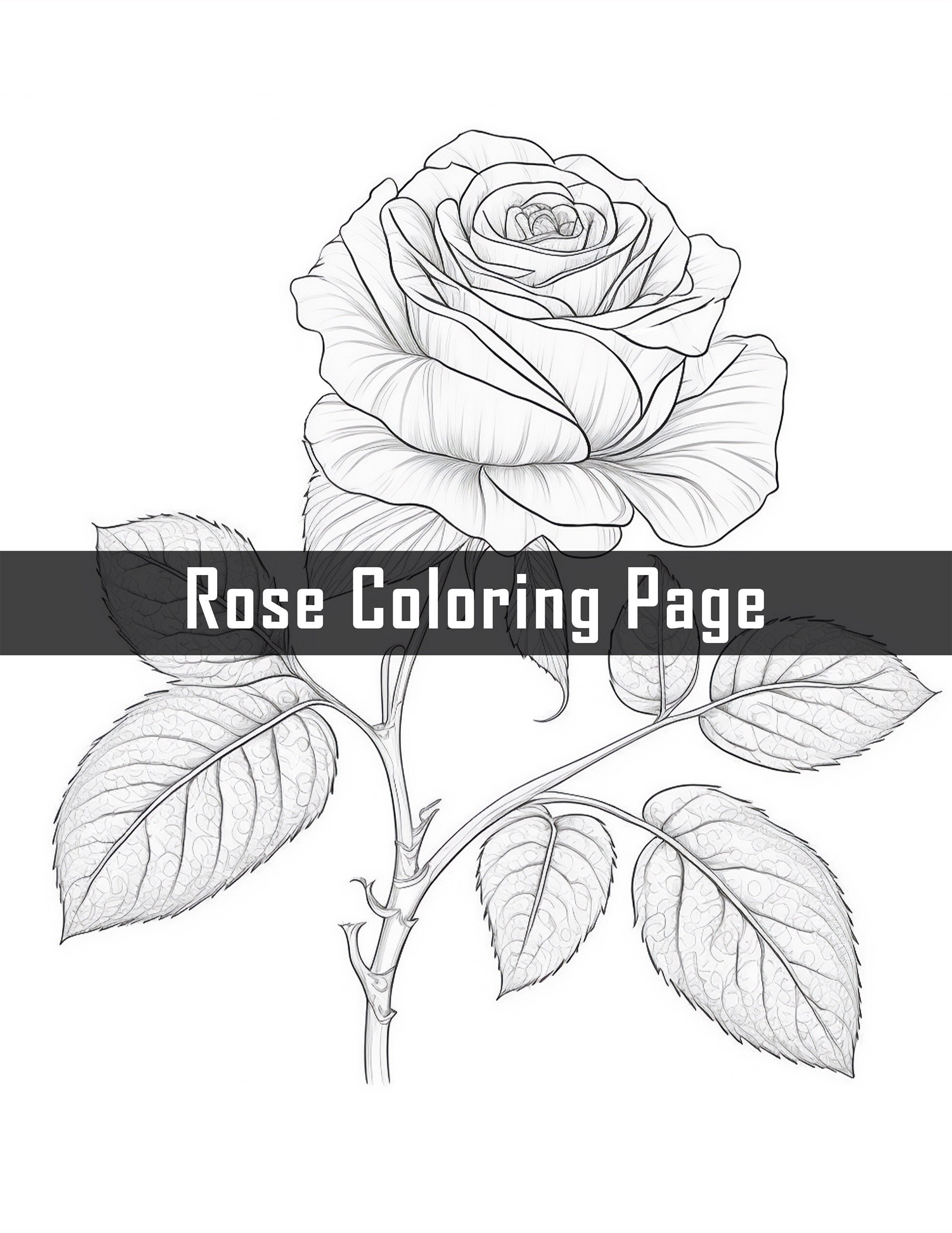 Beautiful Rose Coloring Page - Etsy