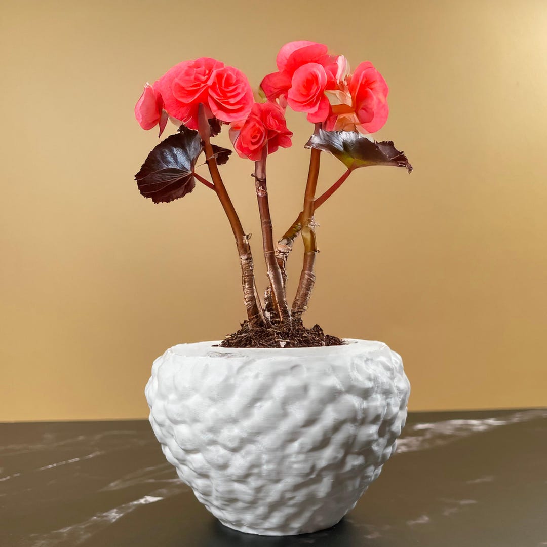 8 Sizes | 7 Color Options | Sculpted Terrain Planter | Textured Planter ...