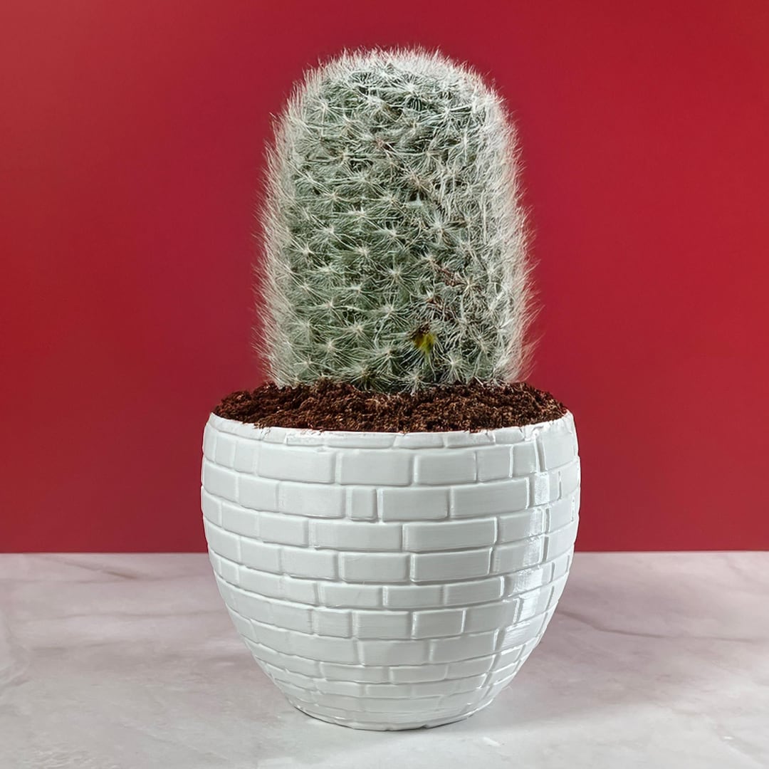 2 or 4 Inch - 3 Color Options - Brickform Pot – Textured Planter With ...