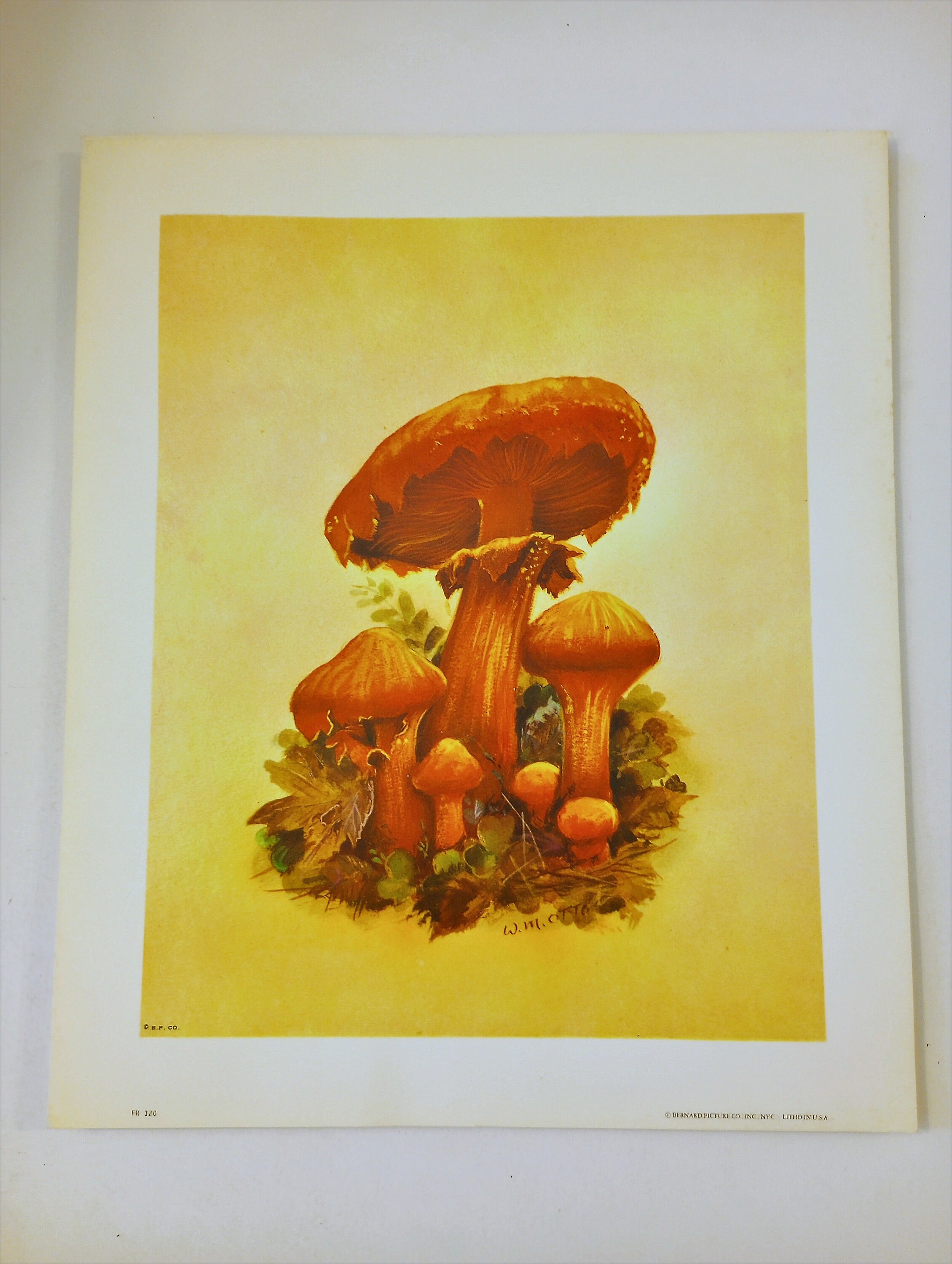 Retro Vintage Art Deco W M Otto Vintage Art Mushrooms Retro Wall Art ...