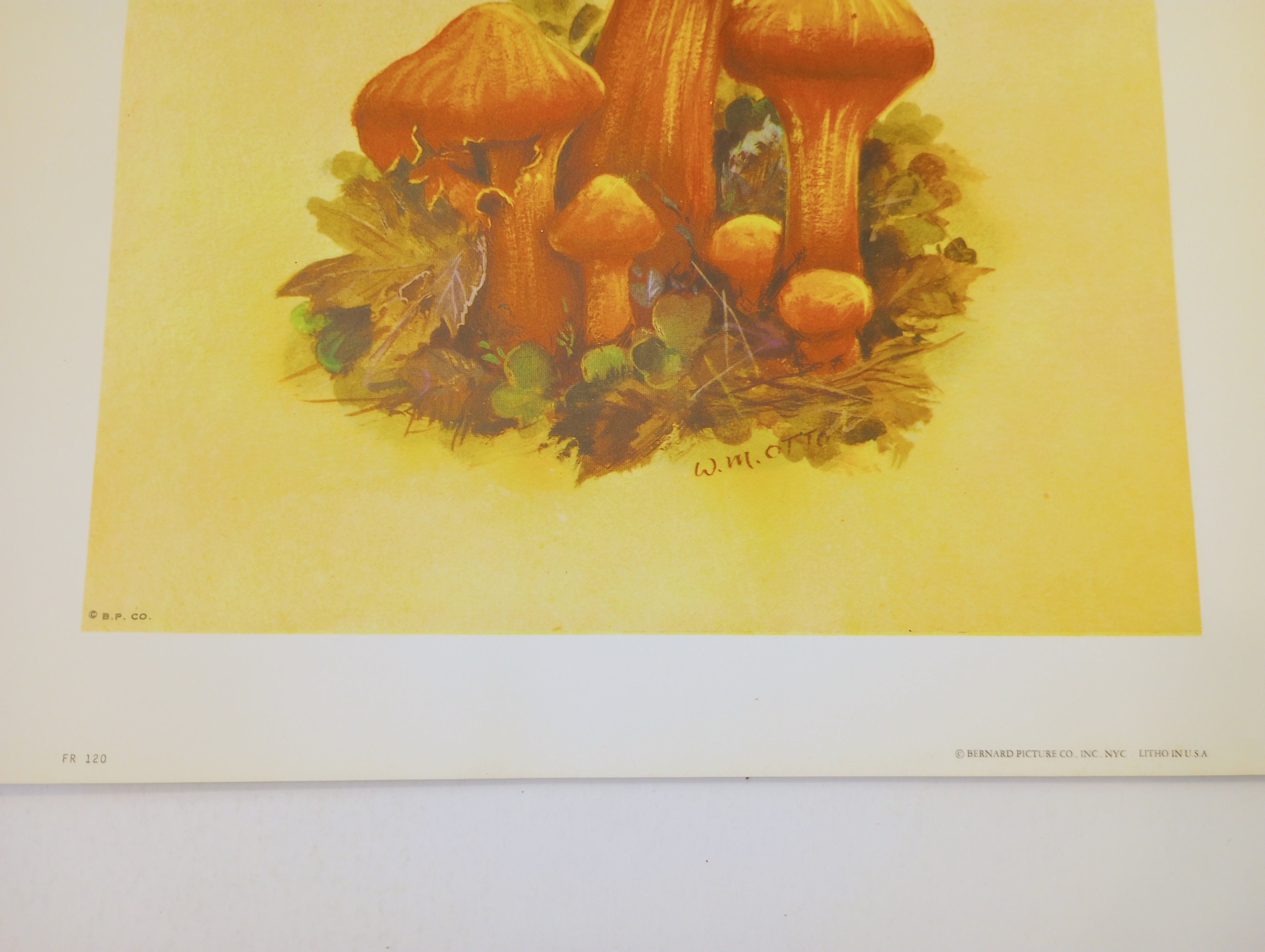 Retro Vintage Art Deco W M Otto Vintage Art Mushrooms Retro Wall Art ...