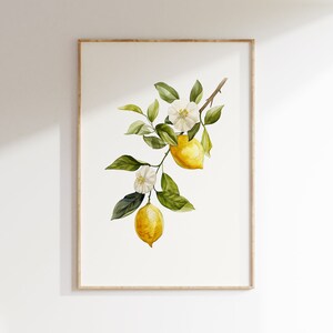 Kitchen Wall Art Lemon Print, Lemon Poster, Kitchen Gifts, Kitchen ...