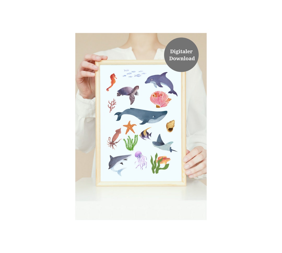 Poster sea Creatures - Etsy