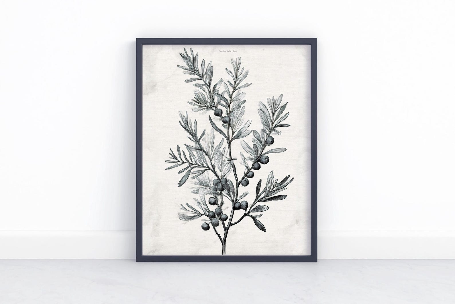 Olive Branch Botanical PRINTABLE Art, Vintage Etching Neutral Decor ...