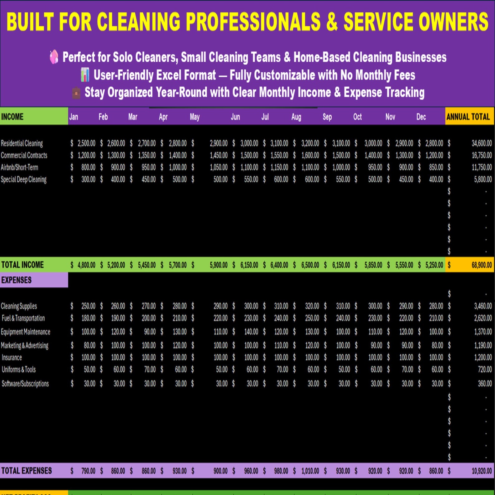Cleaning Business Income & Expense Tracker: Excel Spreadsheet (digital ...