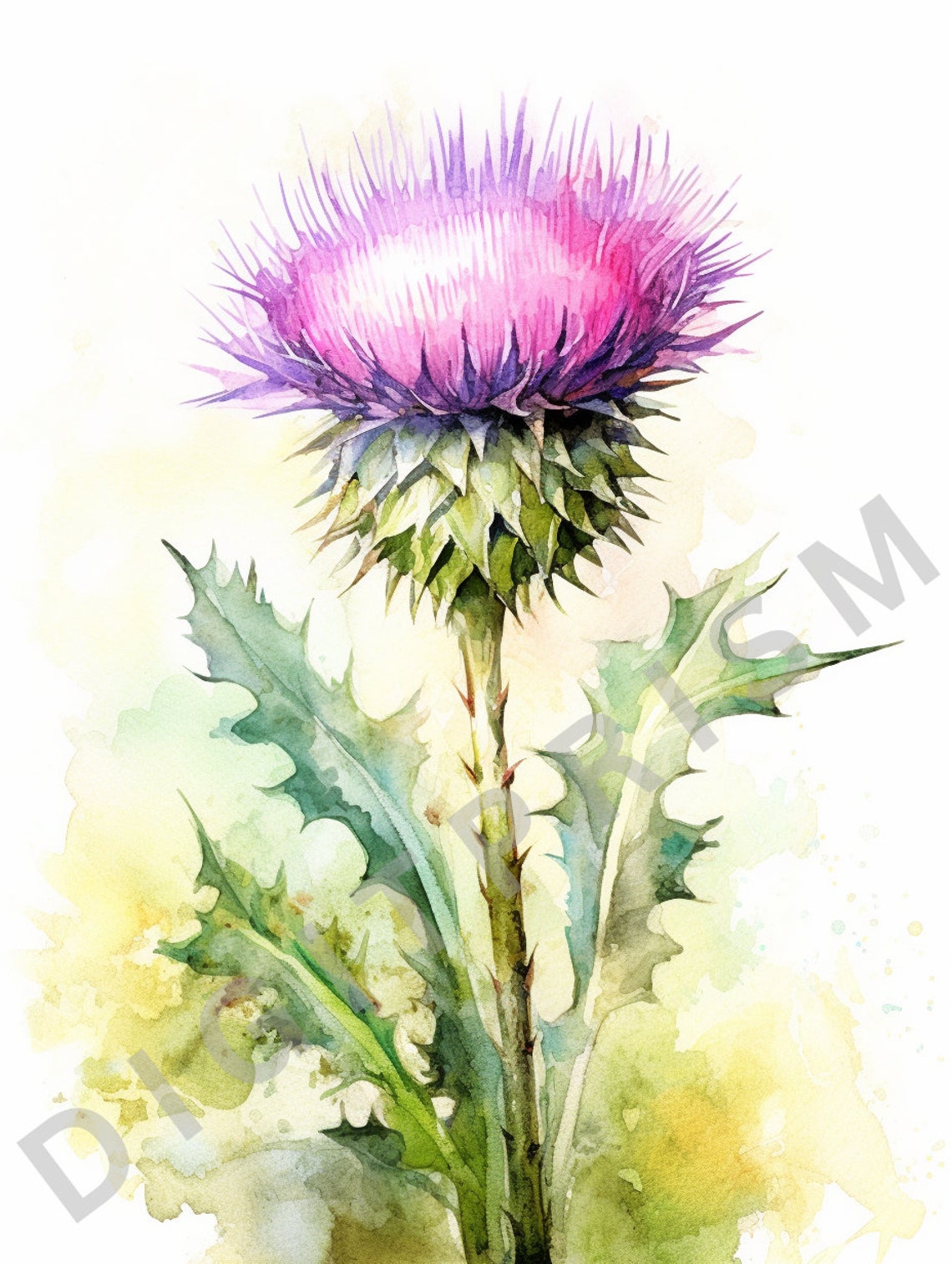Giant Thistle Watercolour Illustration Digital Download Flower AI Art ...