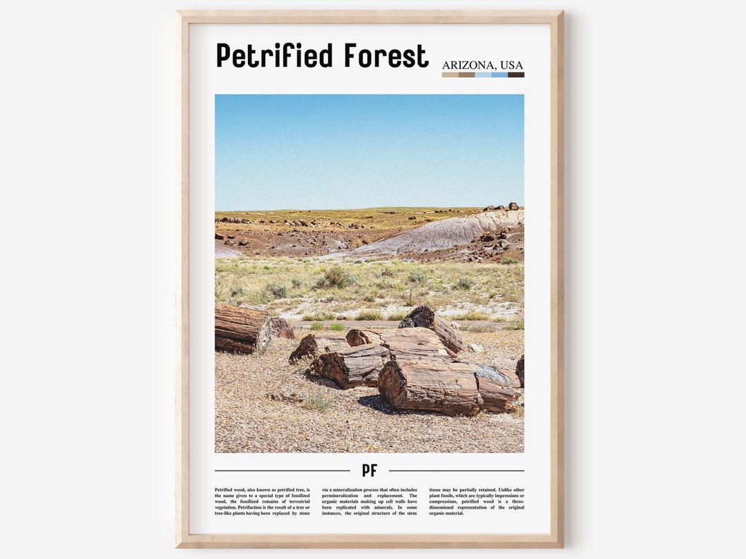 Petrified Forest Print, Petrified Forest Poster, Petrified Forest Wall ...