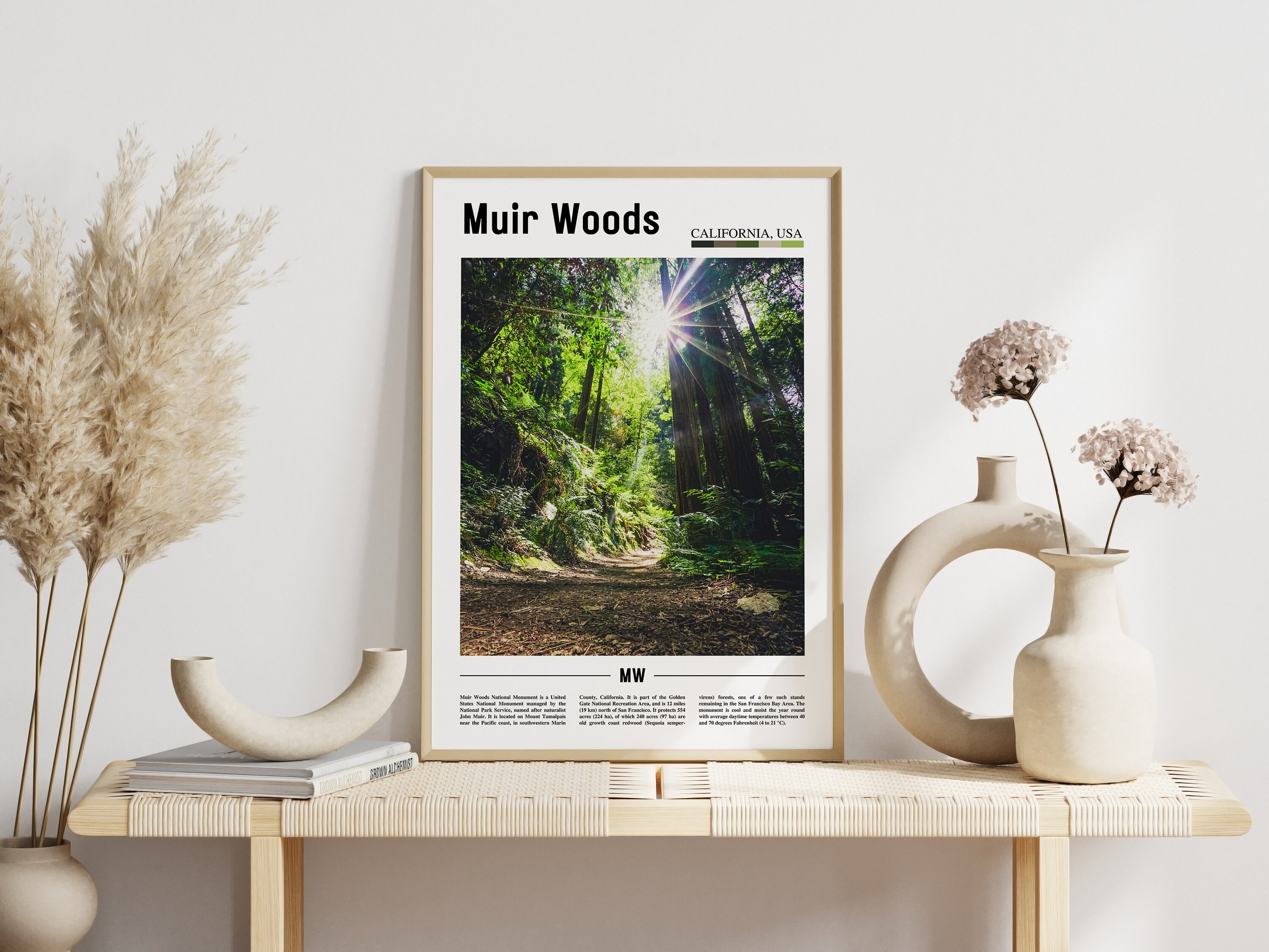 Muir Woods Print, Muir Woods Poster, Muir Woods Wall Art, Minimal ...
