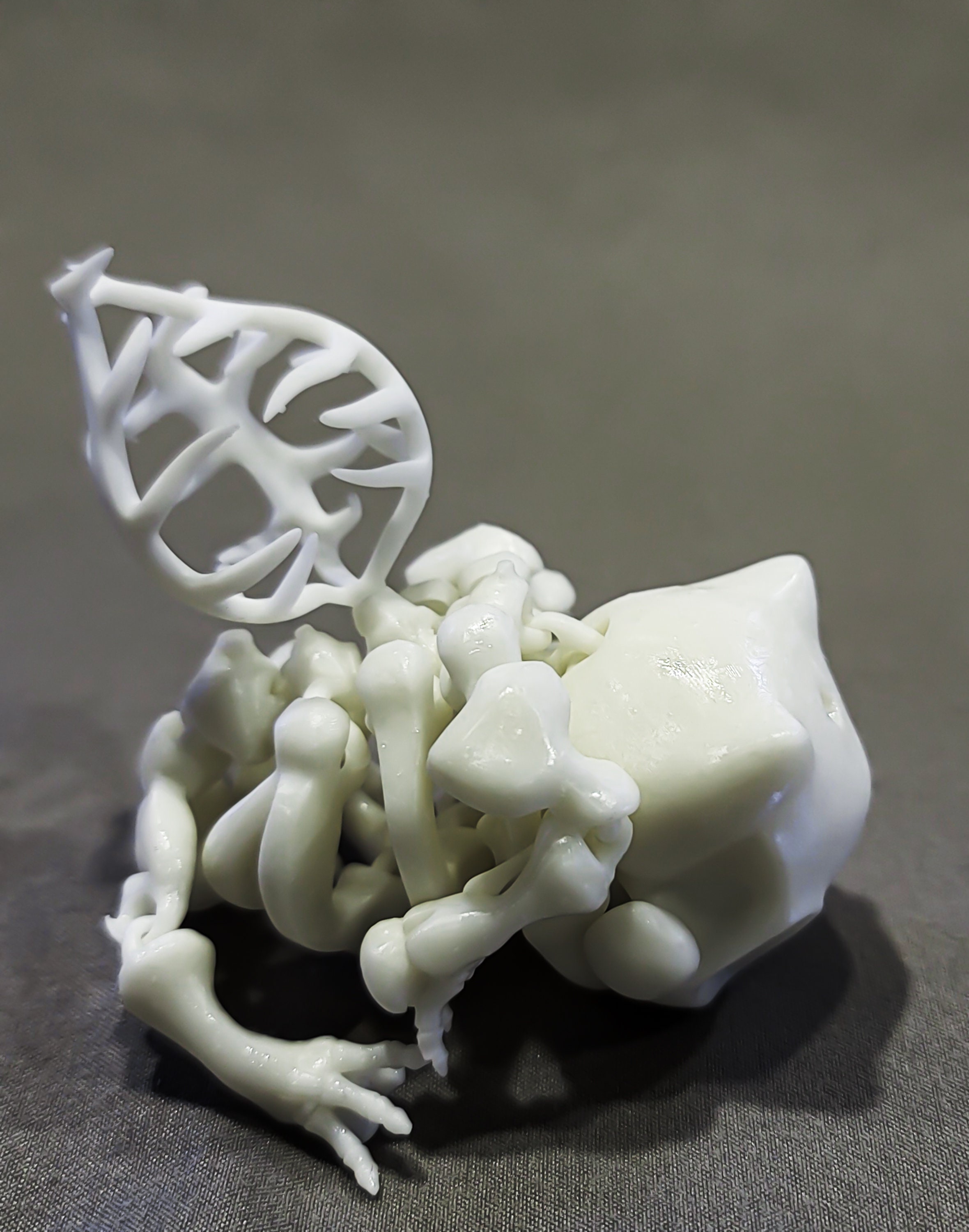 Pokemon Pokebones - Bulbasaur - Etsy