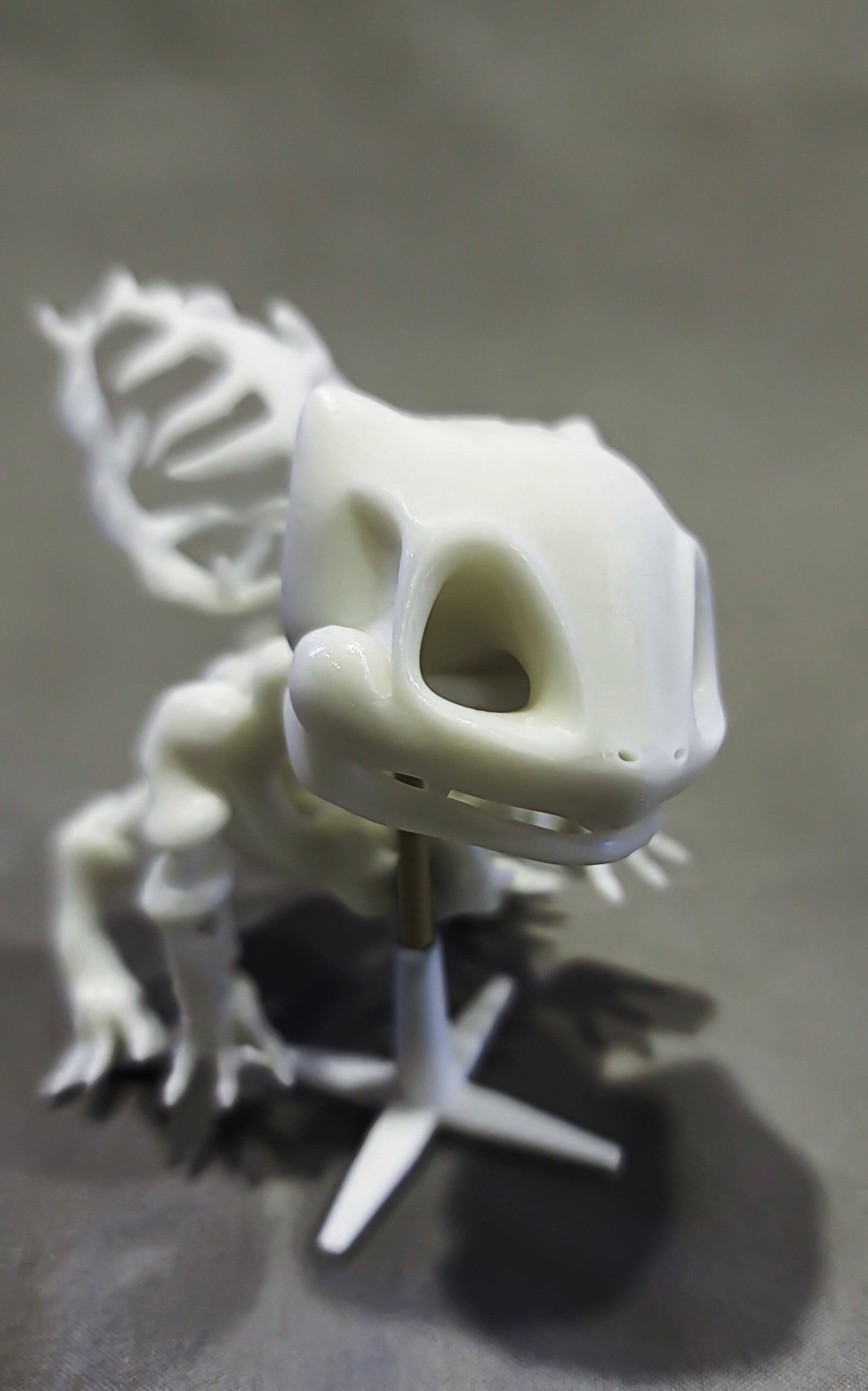 Pokemon Pokebones - Bulbasaur - Etsy