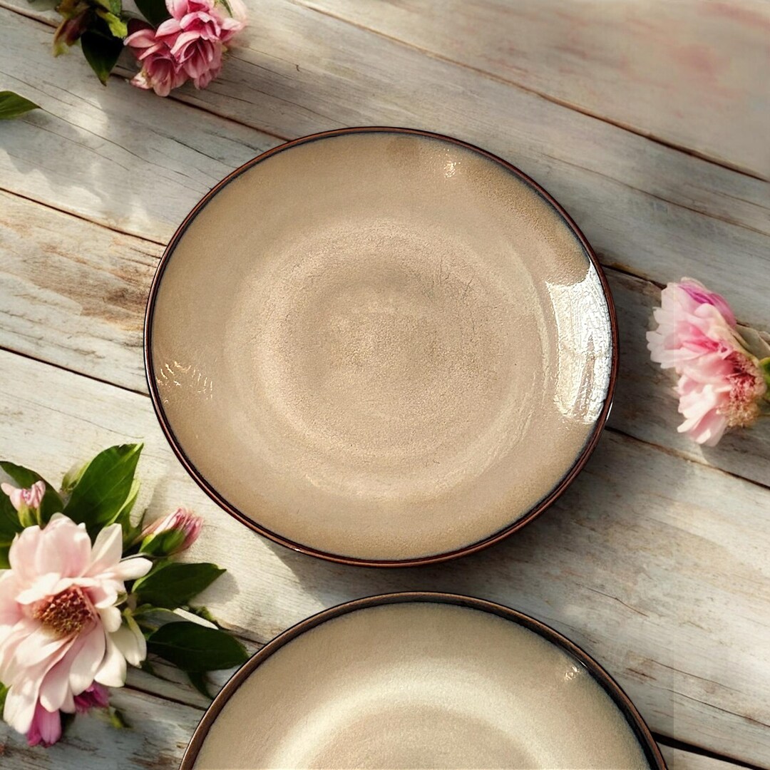 Vintage Sango Nova Brown Pattern 4933 Dinner Plates Set (4), Heavy ...