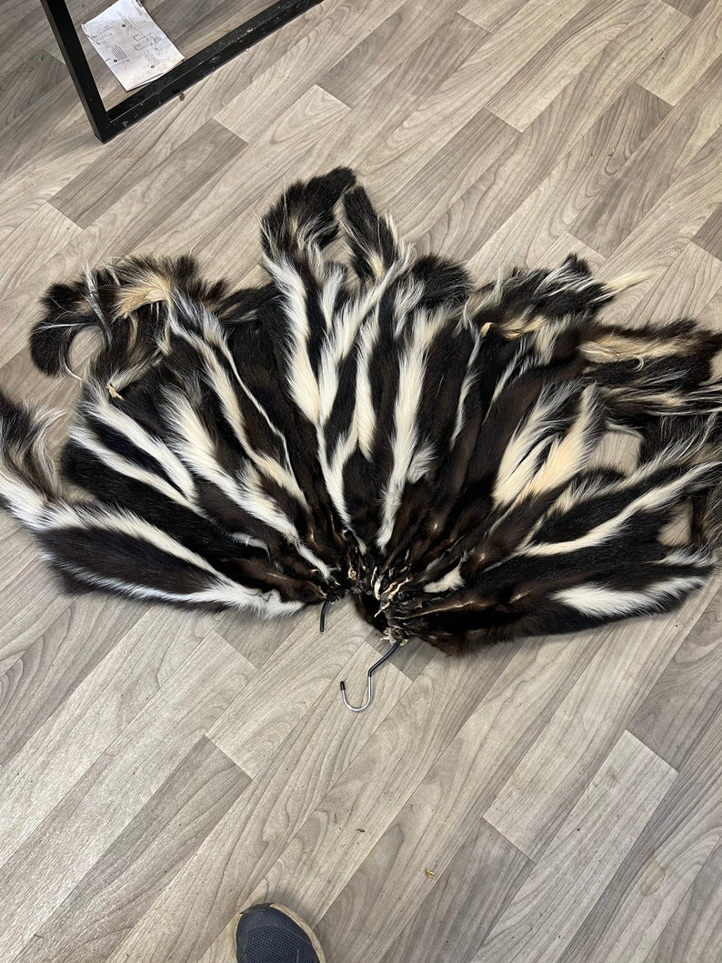 Tanned Skunk Hide Real Fur Ethically Sourced Fur Skunk Pelt Fly Tying ...