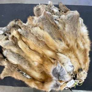 Tanned Western Red Fox Professional Soft Tanned Silky Fur - Etsy