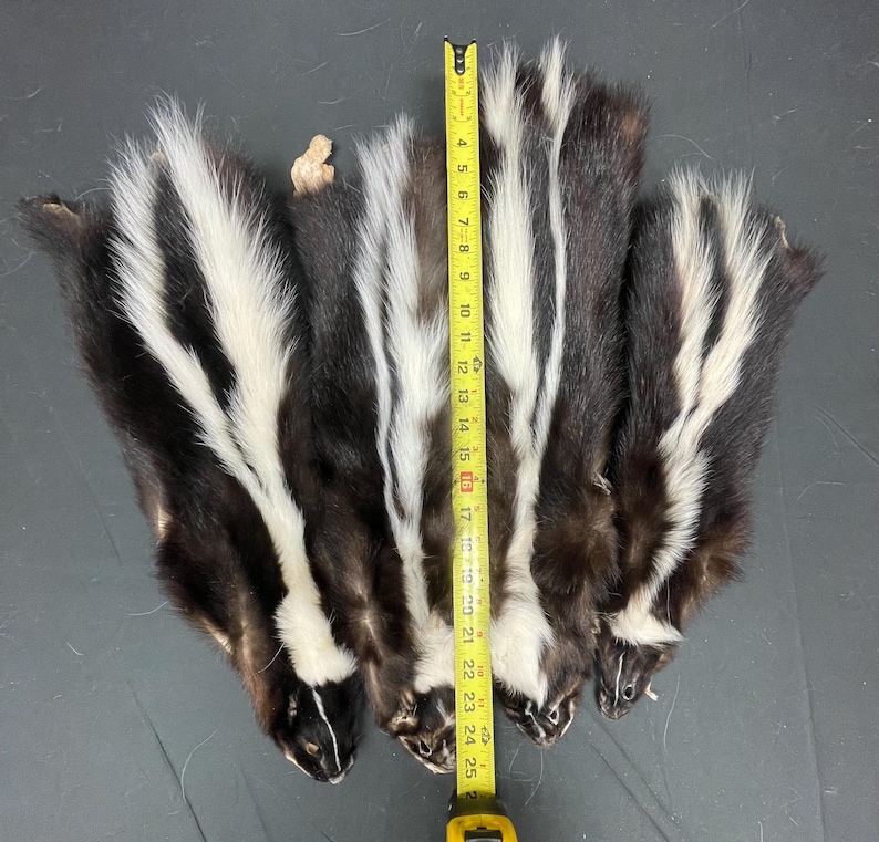 Tanned Skunk Hide Real Fur Ethically Sourced Fur Skunk Pelt Fly Tying ...