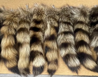 Raccoon Tails Raccoon Tail Keychain Taxidermy Keychain Raccoon Tail ...