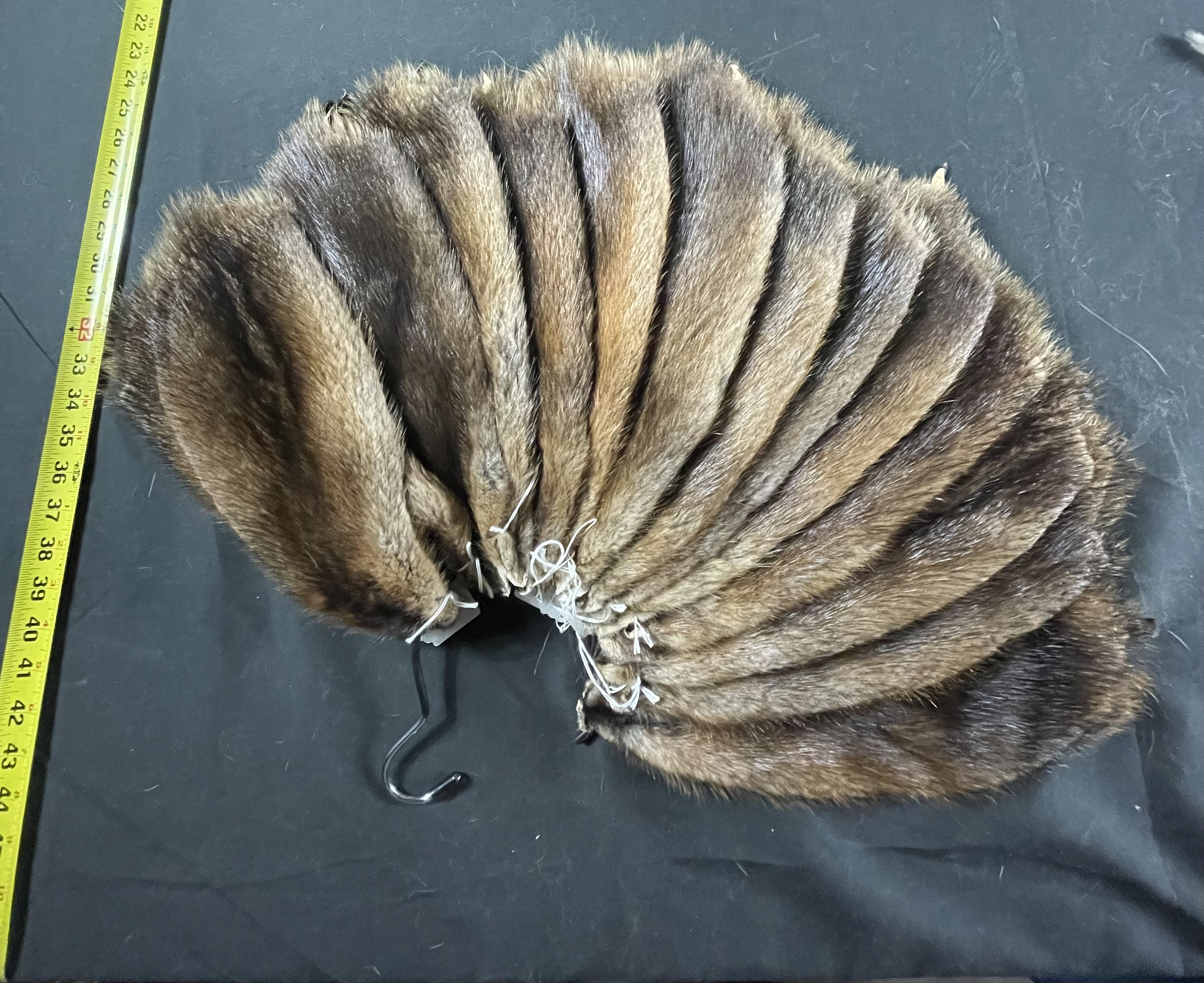 Tanned Muskrat Hide. Soft Tanned Great Quality XL - Etsy