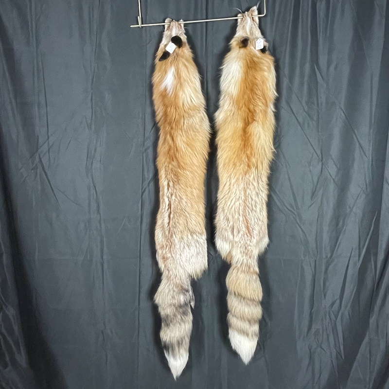 Real Fox Tails - Etsy