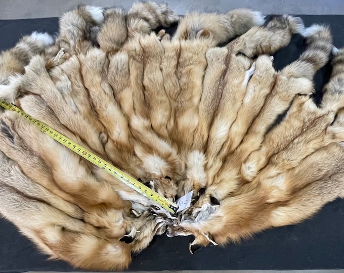 Tanned Red Fox Professional Soft Tanned Silky Fur. Eastern Red Fox - Etsy