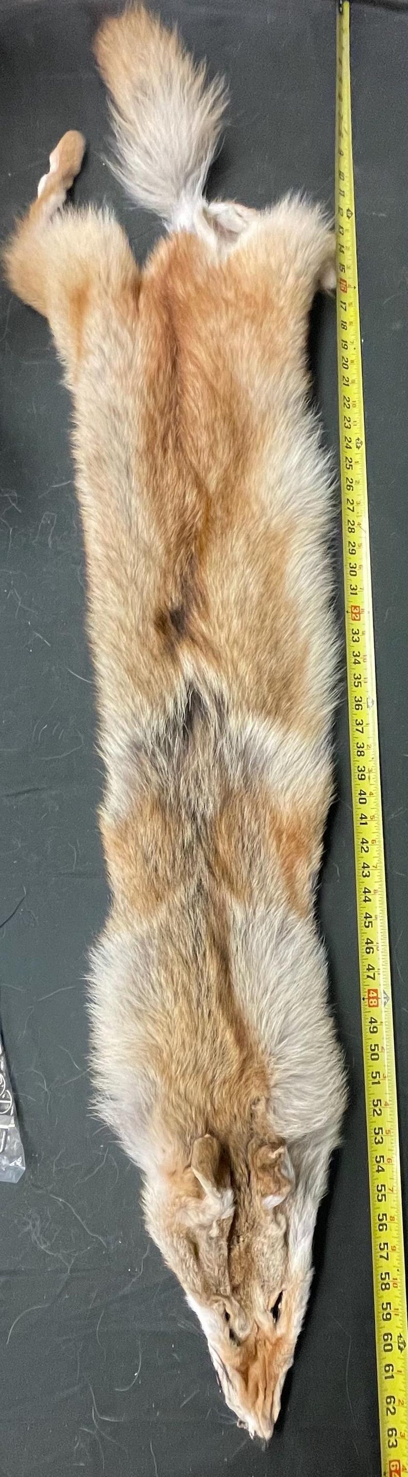 Tanned Red Coyotes Heavy Darker Red Soft Tanned Hides - Etsy